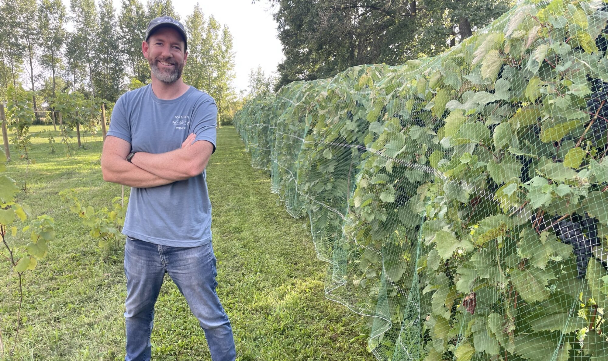 Fox and Hen Vineyards - Northern Initiatives